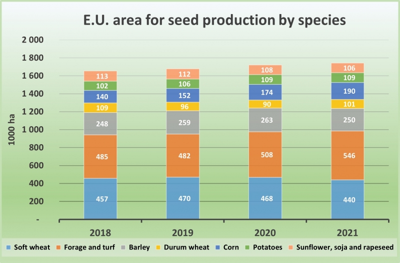 Seed production in EU - 2021